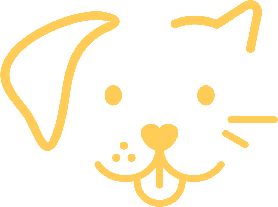 Sobre nós – Petster Brand – Roupas e Acessórios Pet